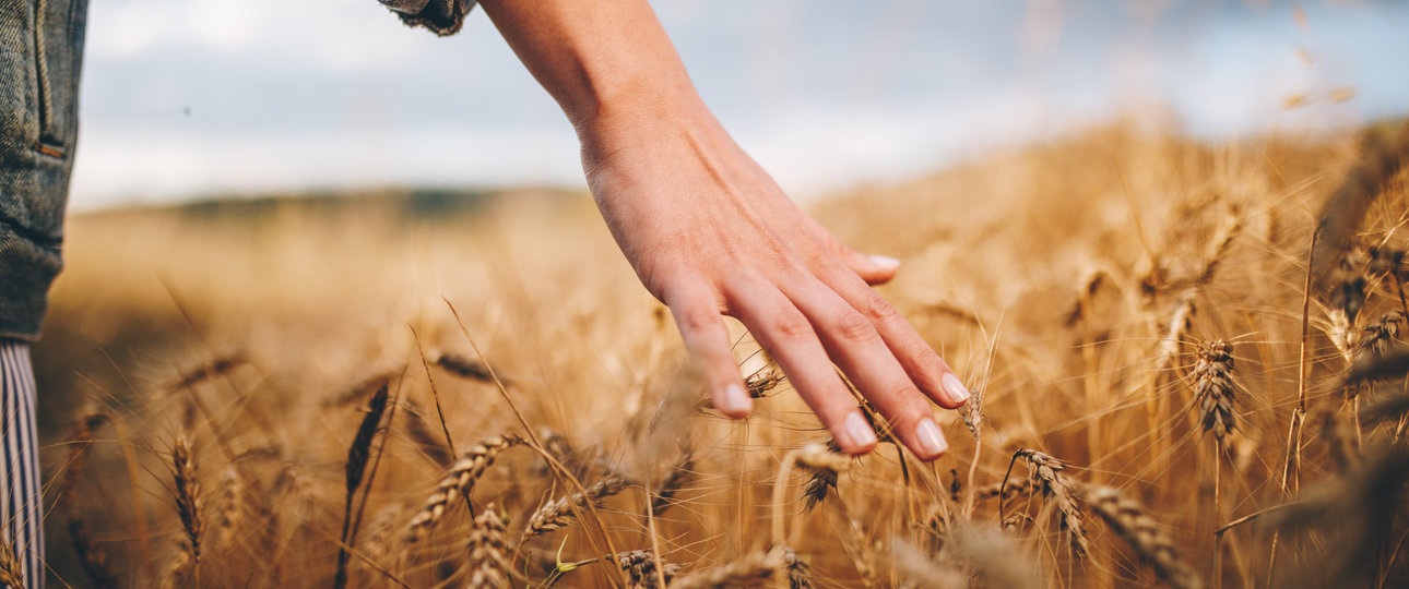 Darling Ingredients' Nature Safe Brand Innovates Organic Fertiliser