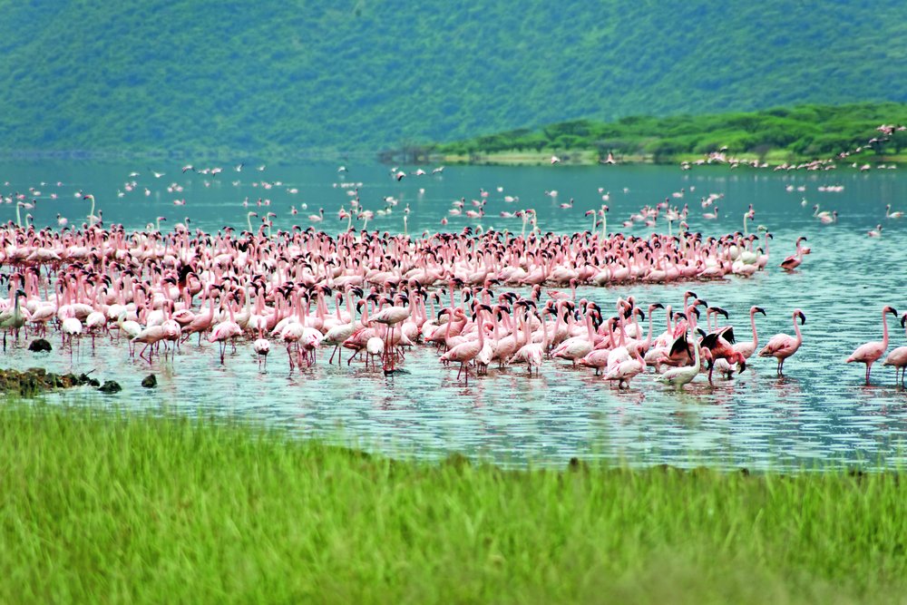 Sharing the Benefits of Kenya’s Soda Lakes - Editors Pick