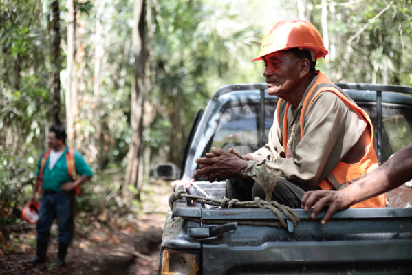 Protecting the World’s Forests Takes a Village - And Then Some